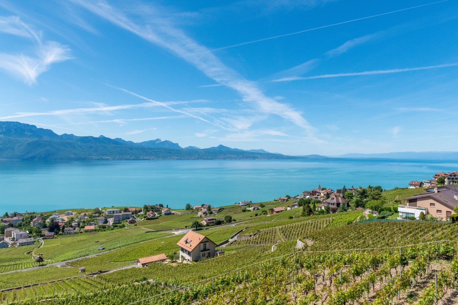 Vaud - Suisse